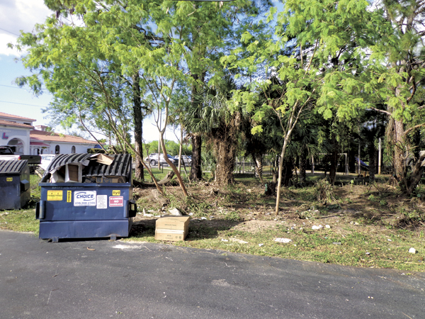 Local community policing effort solves issues | News, Sports, Jobs ...